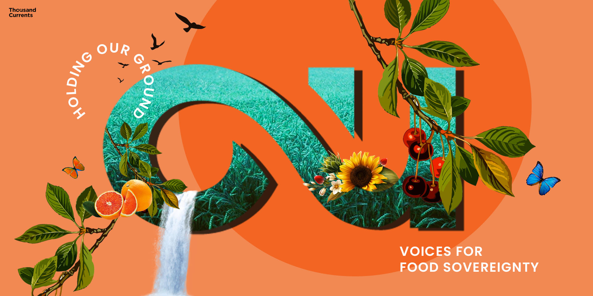 About the Series – Thousand Currents