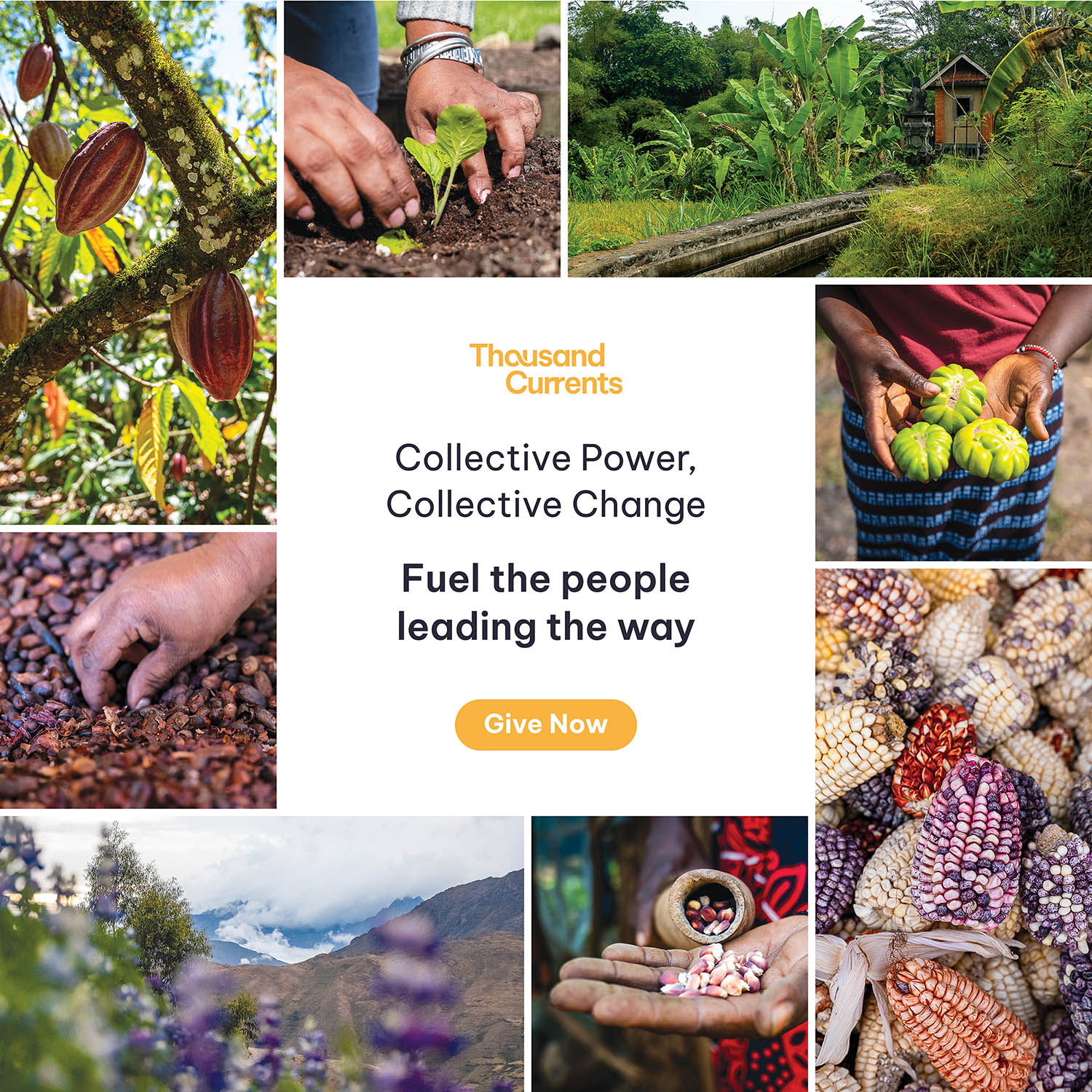 Home - Thousand Currents